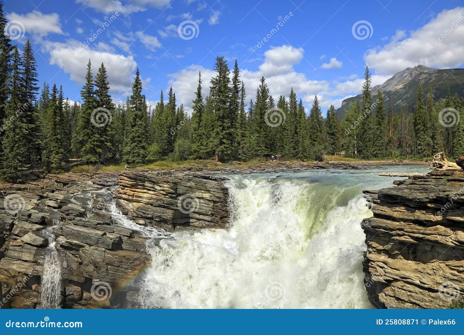 Athabasca waterfall stock image. Image of forest, mineral - 25808871