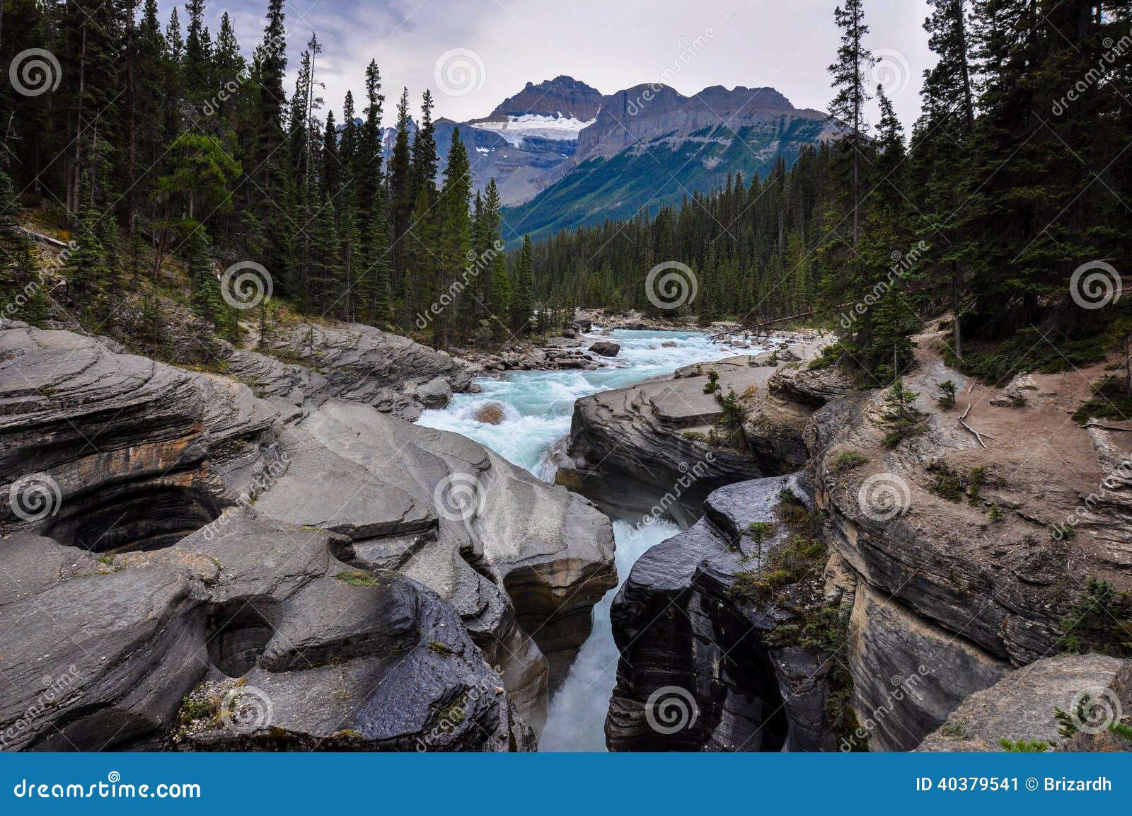 Athabaska Stock Photos - Free & Royalty-Free Stock Photos from Dreamstime
