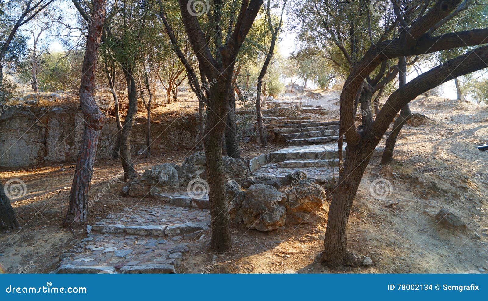 Athens parks stock photo. Image of parks, grow, marble - 78002134