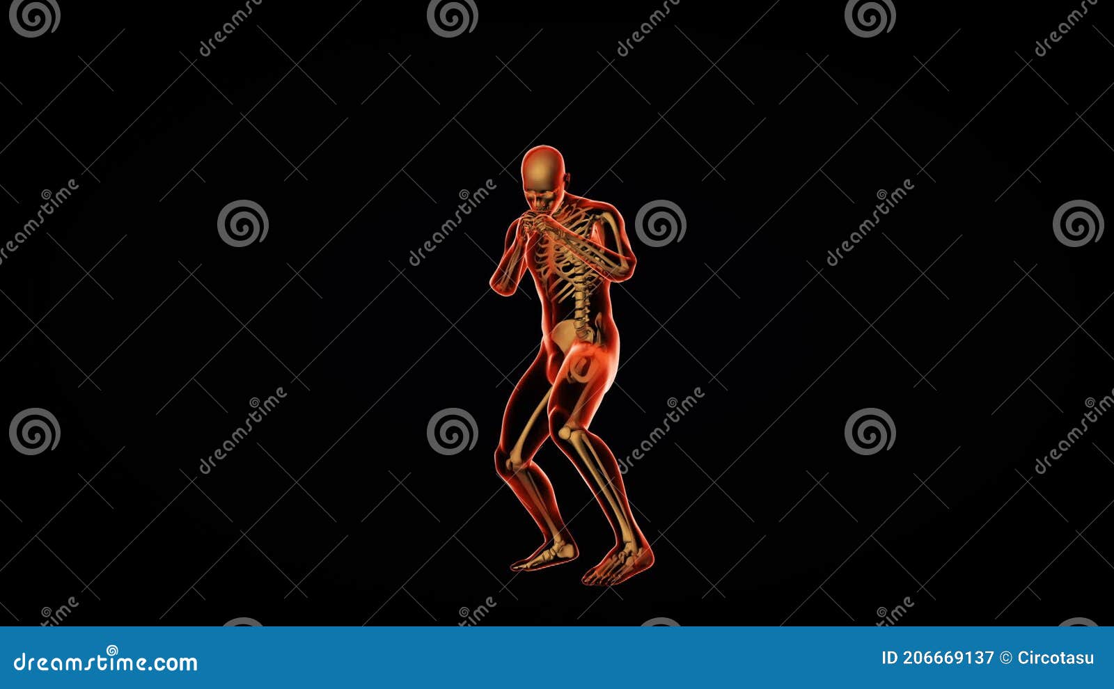 Athlete Boxing Seamless Loop, X-ray Render, Luma Matte Attached Stock ...
