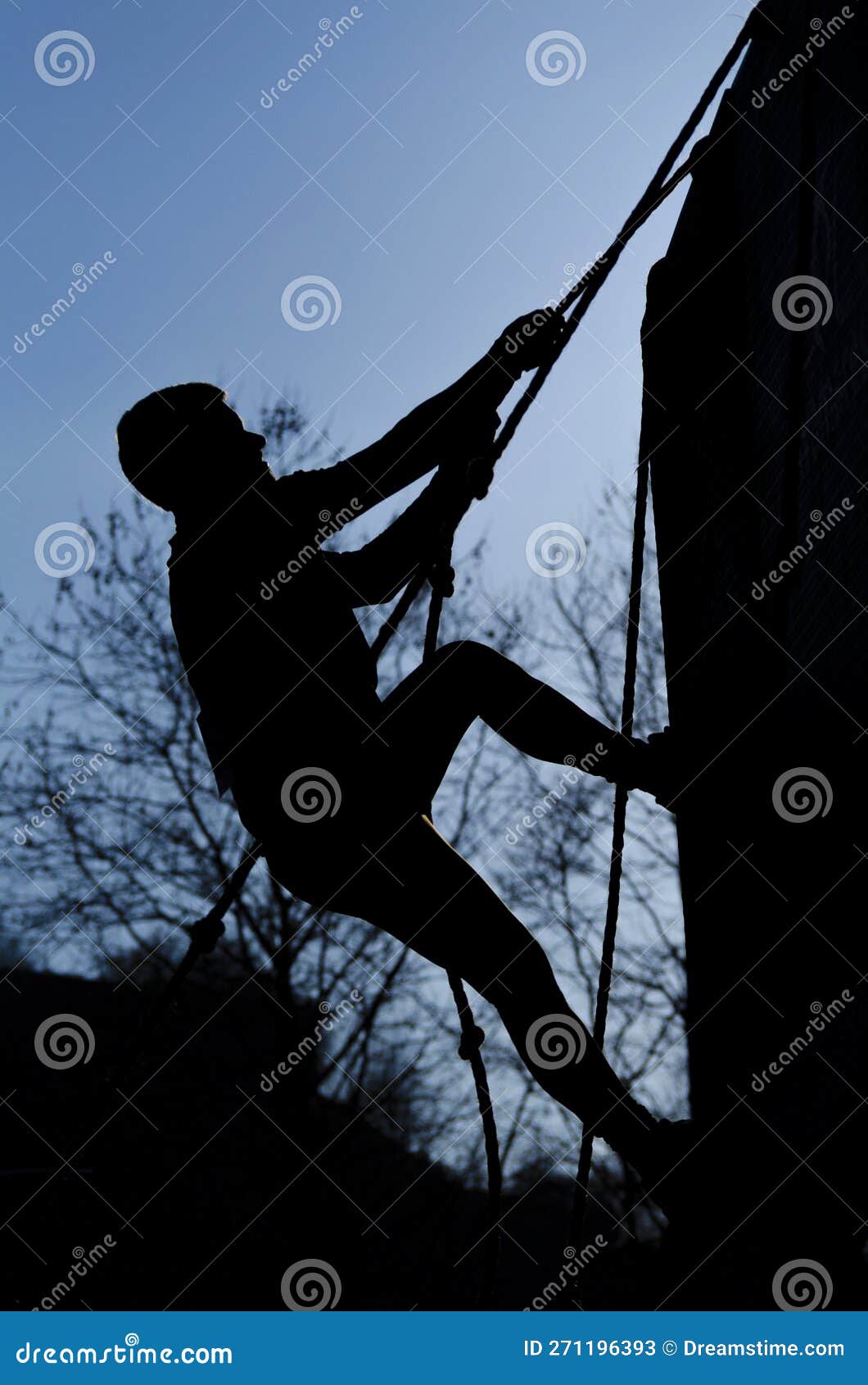 Athlete Climbing an Obstacle Using a Rope in a OCR Race Stock Image ...