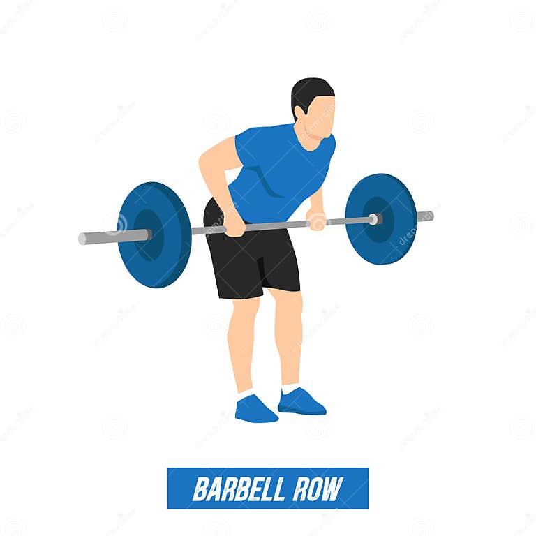 The Athlete Performs the Bent-over Rows Exercise Stock Vector ...