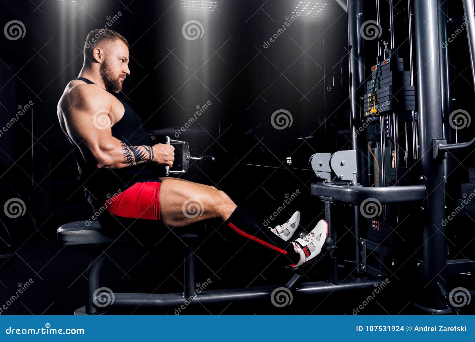 The Athlete Performs an Exercise on the Latissimus Muscles of Th Stock ...