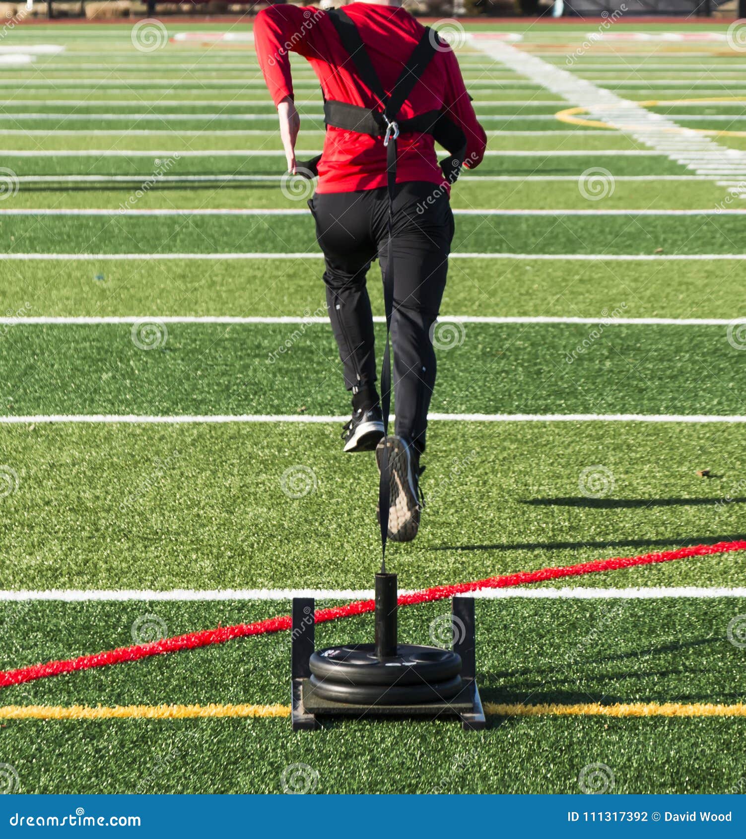 Athlete Pulling a Sled with Weights Stock Photo - Image of agility ...