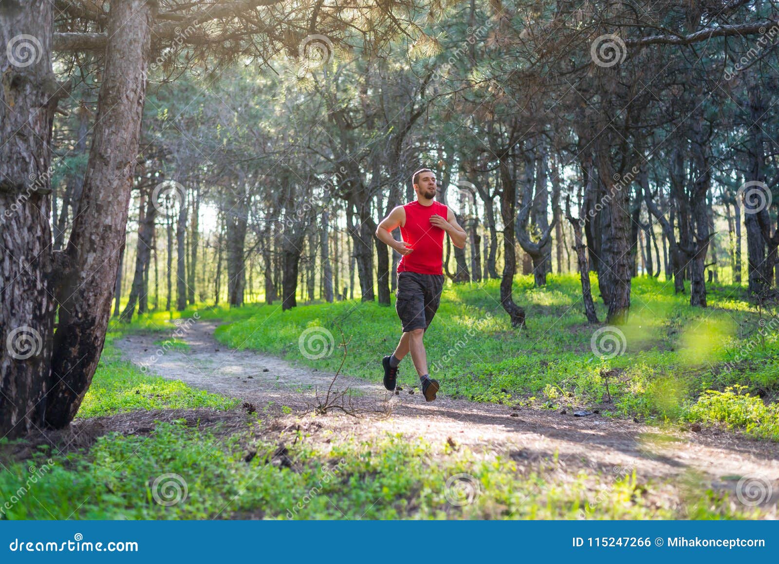 The Athlete Running Along the Forest Trail, a Copy of the Space. Stock ...