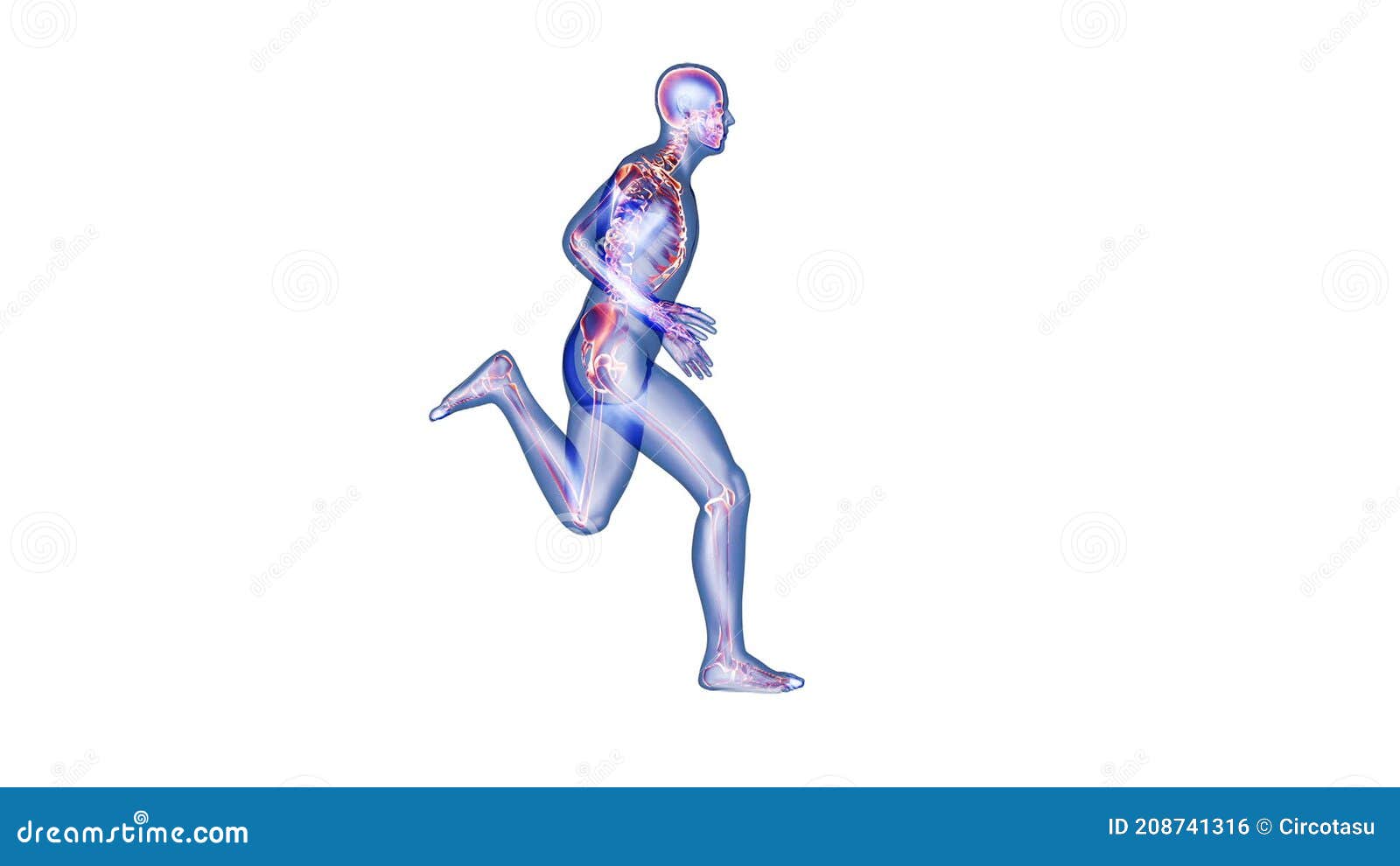 Athlete Running Seamless Loop X-ray Render White Background Stock ...