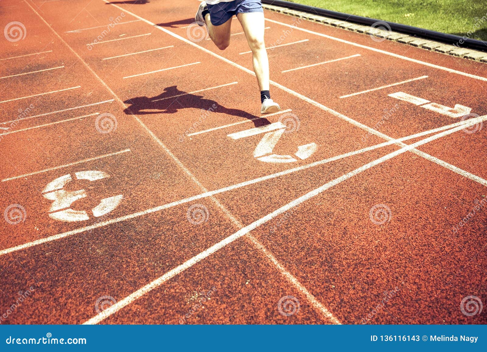 Athlete on running track stock image. Image of racetrack - 136116143