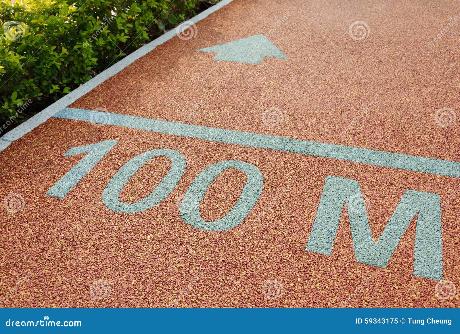 110 Meter Finish Line Stock Photo | CartoonDealer.com #25477980