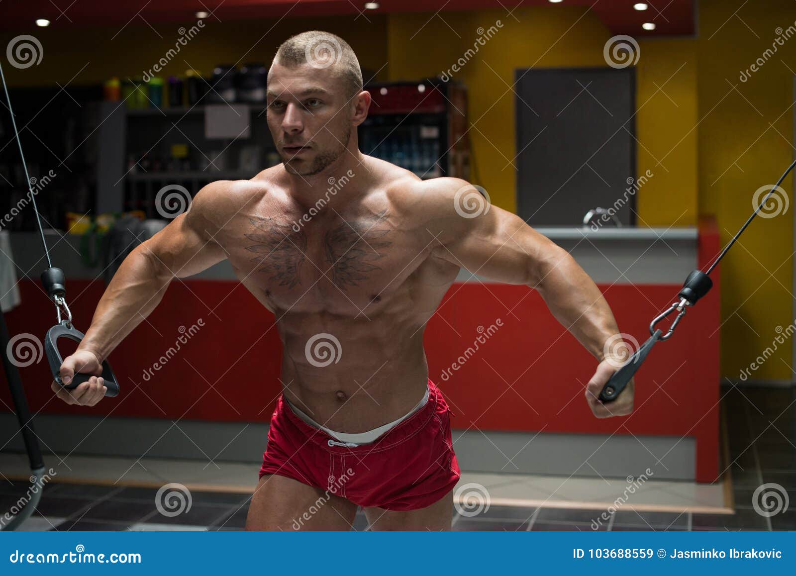 Athlete is Working Chest Workout Cable Crossover Stock Image - Image of ...