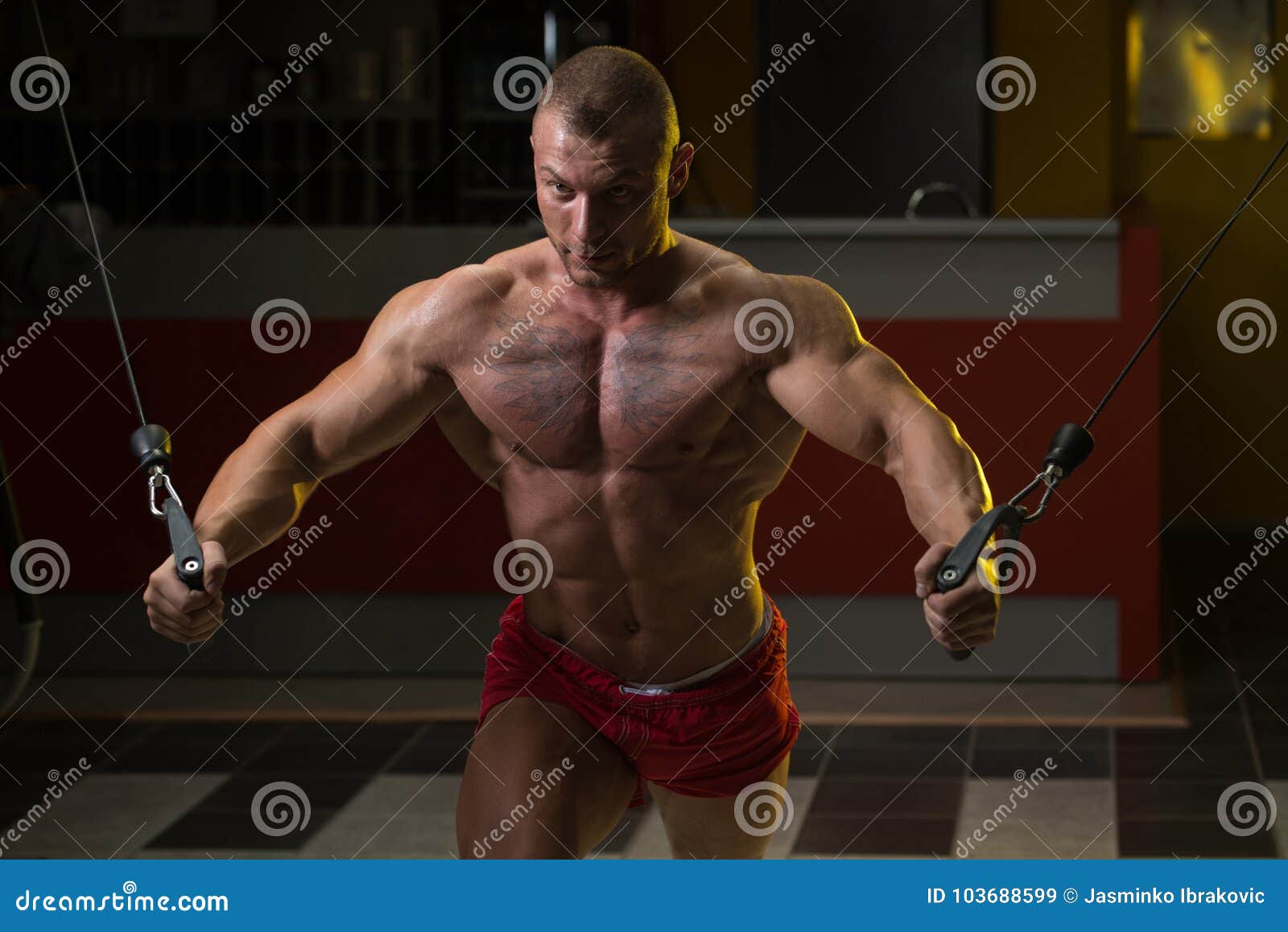 Chest Cable Crossover