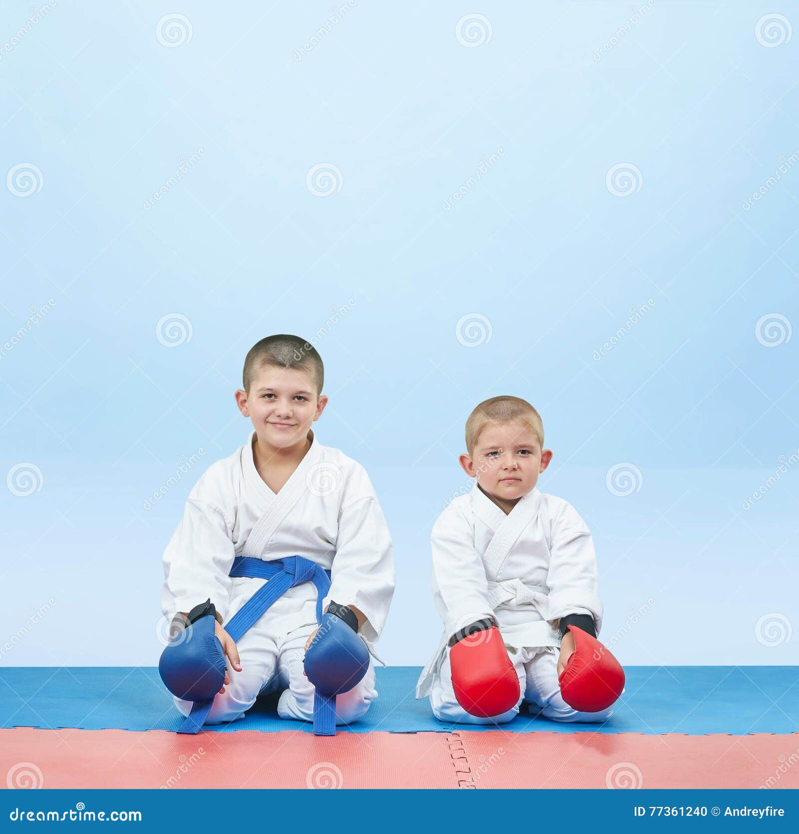 Athletes in Karategi Sit in Karate Pose Stock Photo - Image of power ...
