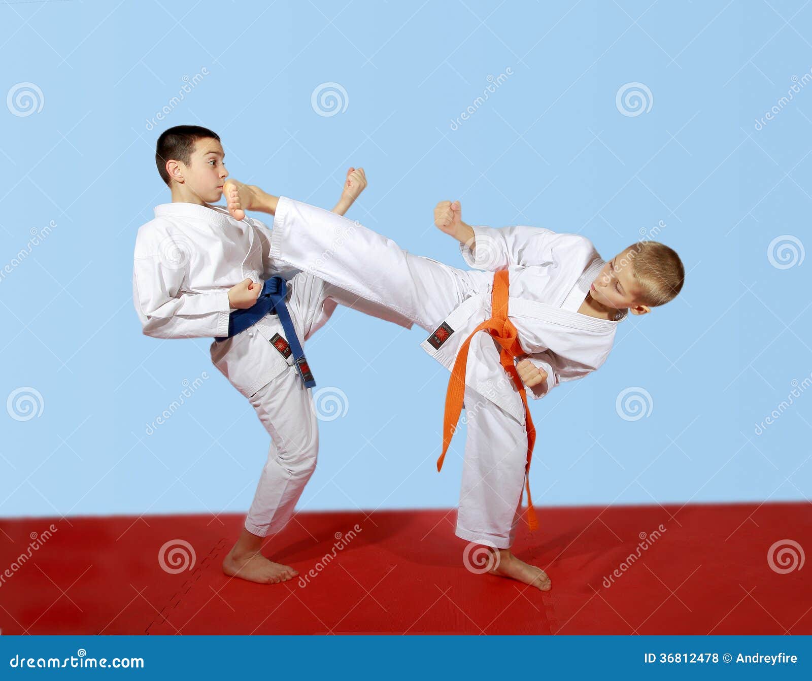 Athletes Perform Paired Exercises Beat Kicks Stock Photo - Image of ...