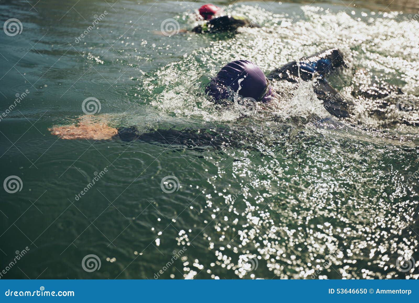 Athletes Swimming in a Competition Stock Photo - Image of lifestyle ...