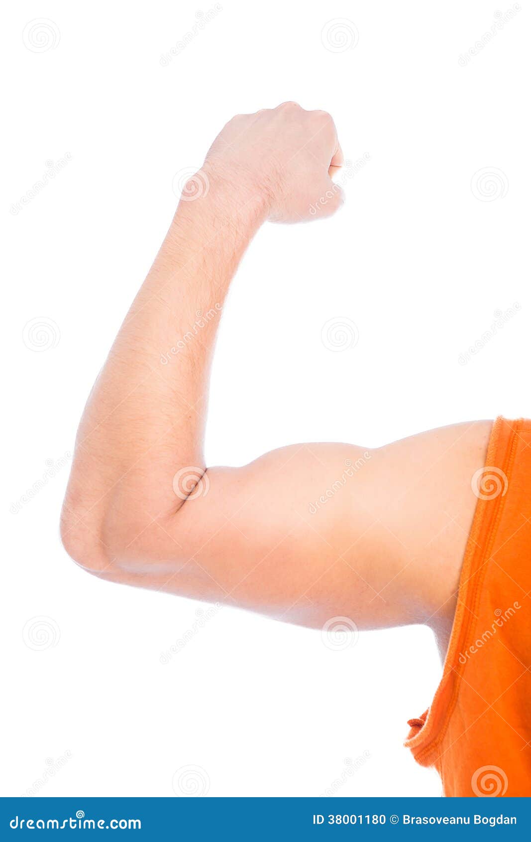 Athletic arm stock photo. Image of beauty, healthy, closeup - 38001180