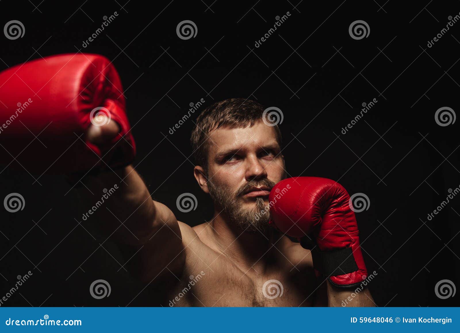 Athletic Bearded Boxer with Gloves on a Dark Background Stock Photo ...