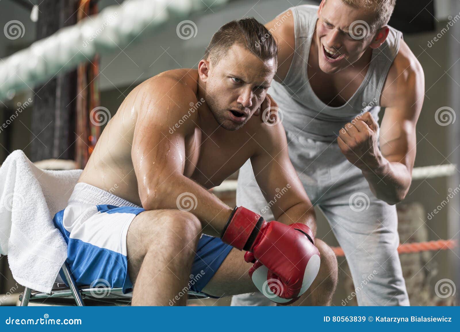 1,217 Coach Sport Tired Stock Photos - Free & Royalty-Free Stock Photos ...