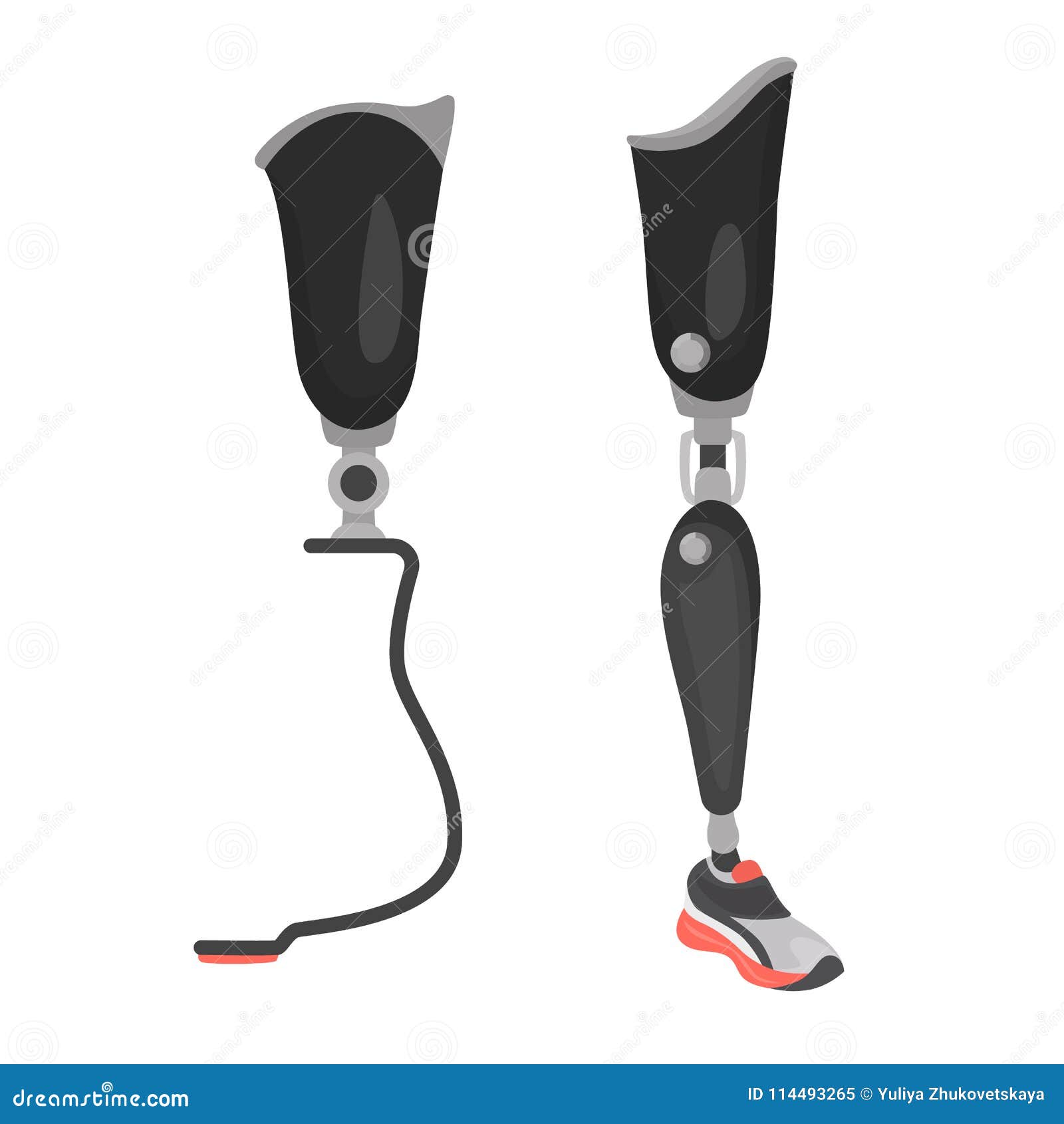 Prosthesis Leg Color Line Icon, Disability And Artificial, Prosthetic ...