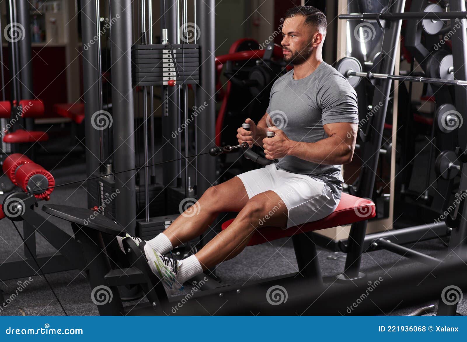 Athletic Man Doing Back Workout in the Gym Stock Photo - Image of ...