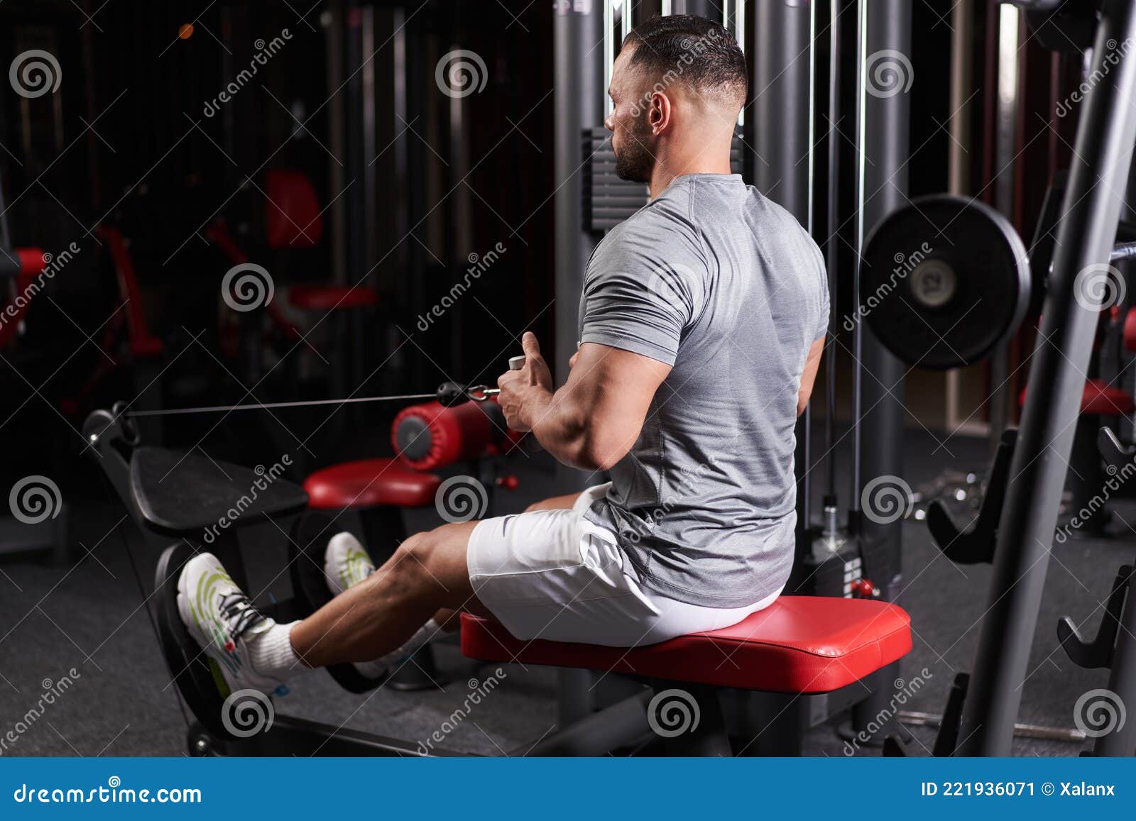 Athletic Man Doing Back Workout in the Gym Stock Image - Image of ...