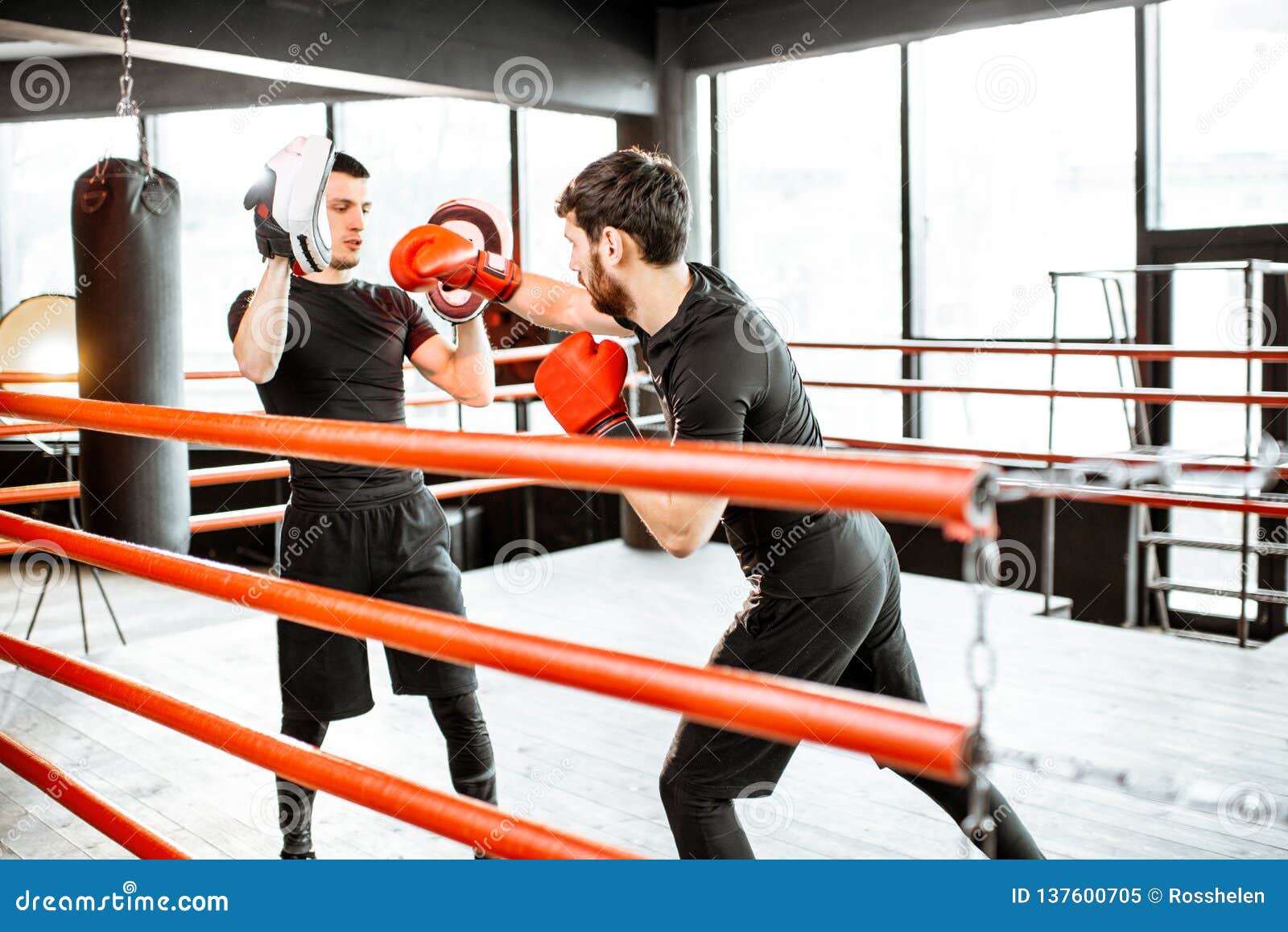 Man Training with Boxing Coach on the Boxing Ring Stock Image - Image ...