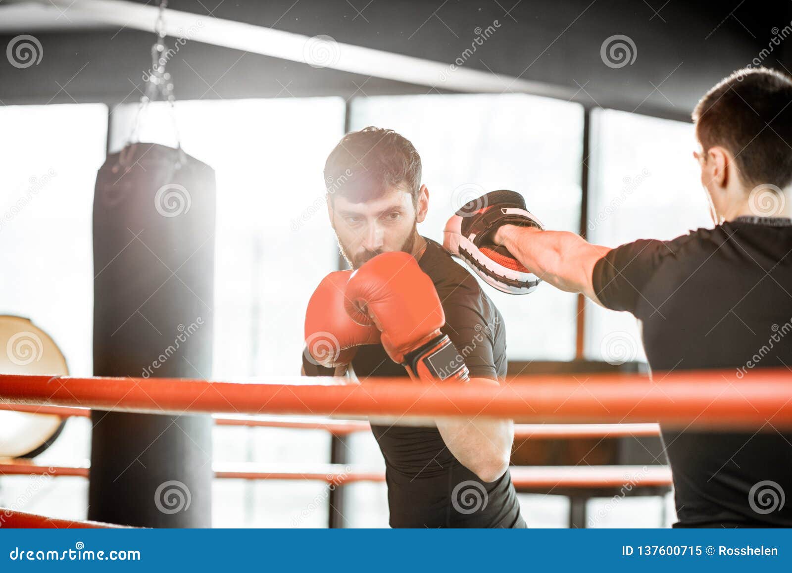 Man Training with Boxing Coach on the Boxing Ring Stock Image - Image ...