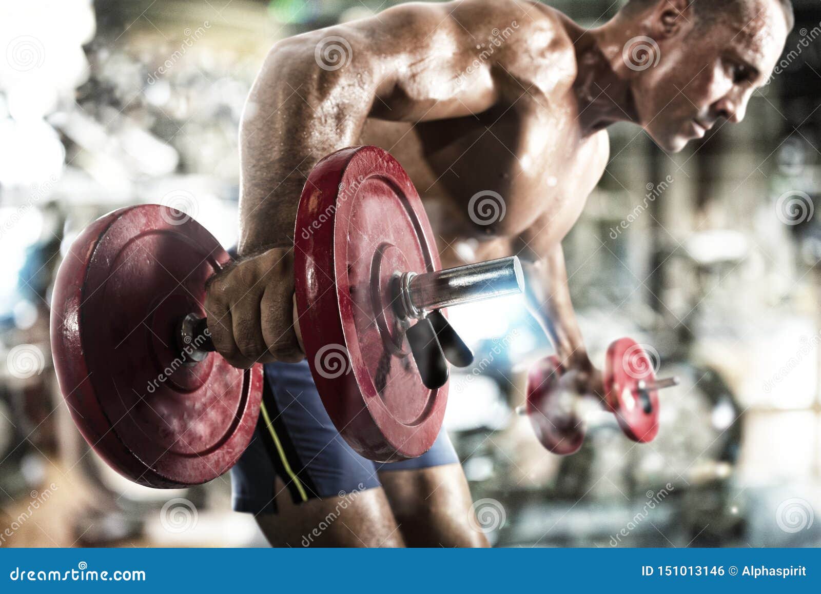 Athletic Man Training Biceps at the Gym Stock Photo - Image of strength ...
