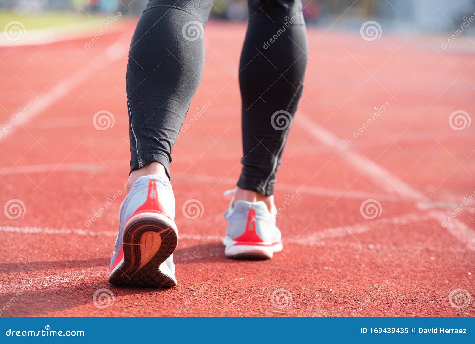 Athletic Person on Running Track Getting Ready To Start Run, Back View ...