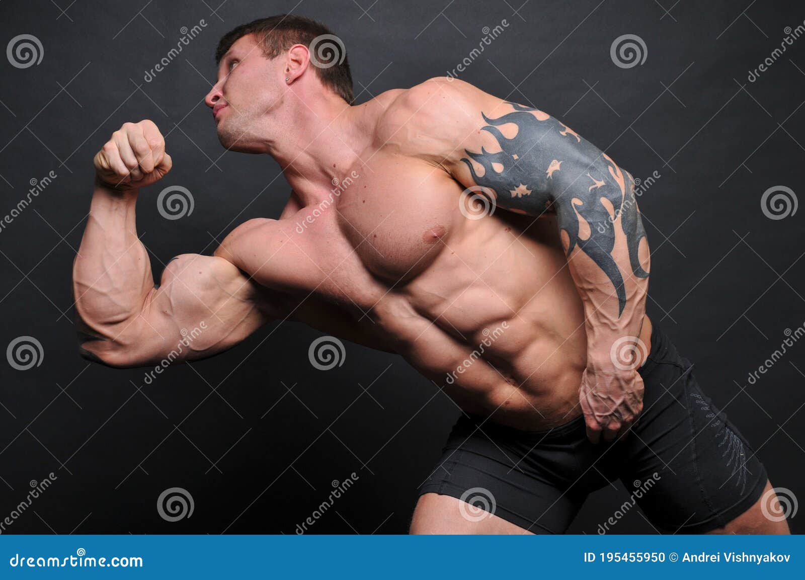Young bodybuilder stock photo. Image of human, caucasian - 195455950
