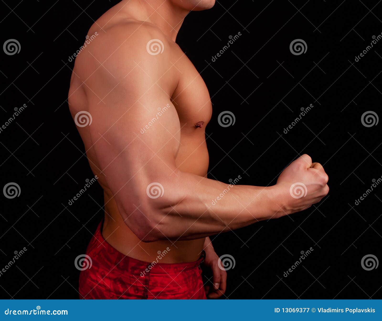 Athletic torso of atlhete stock image. Image of room - 13069377