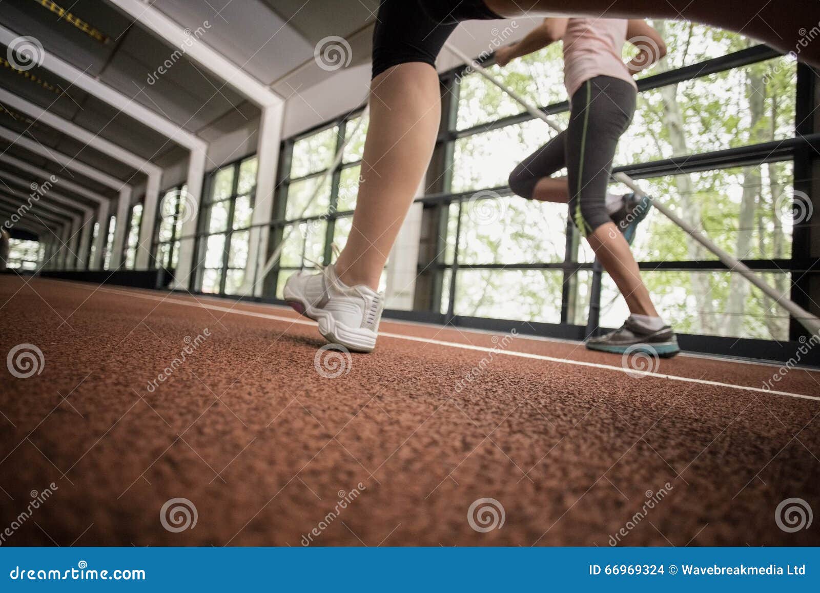 Athletic women running stock photo. Image of brown, jogger - 66969324