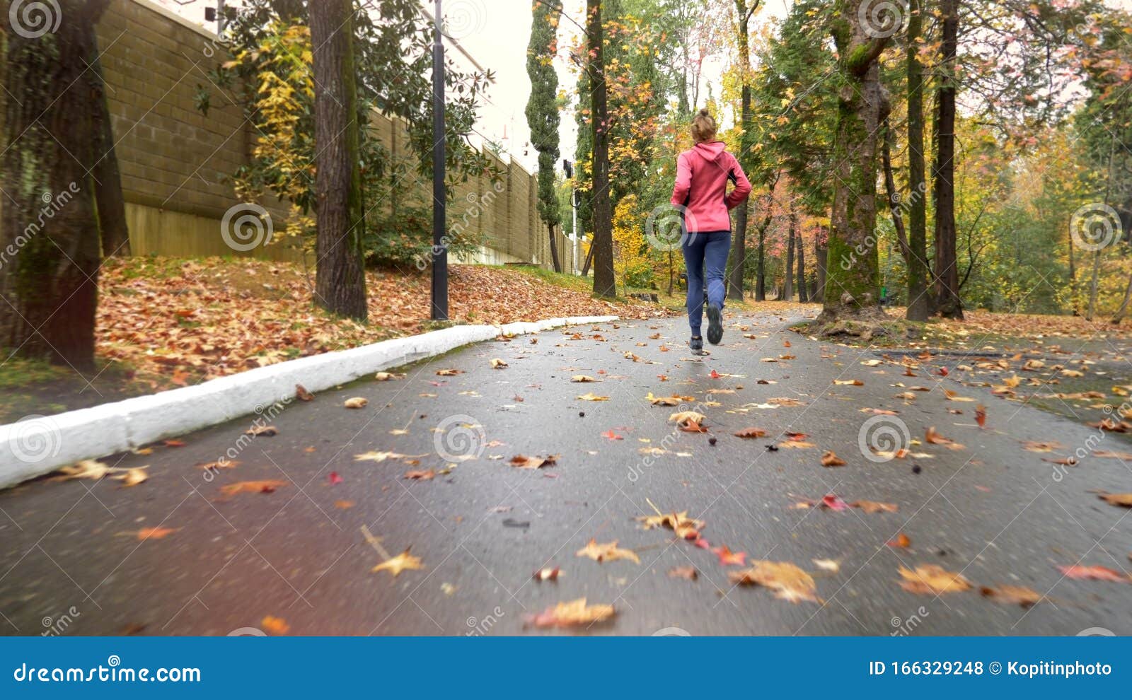 Athletic Young Girl Running in Autumn Park after Rain. Rear View Stock ...