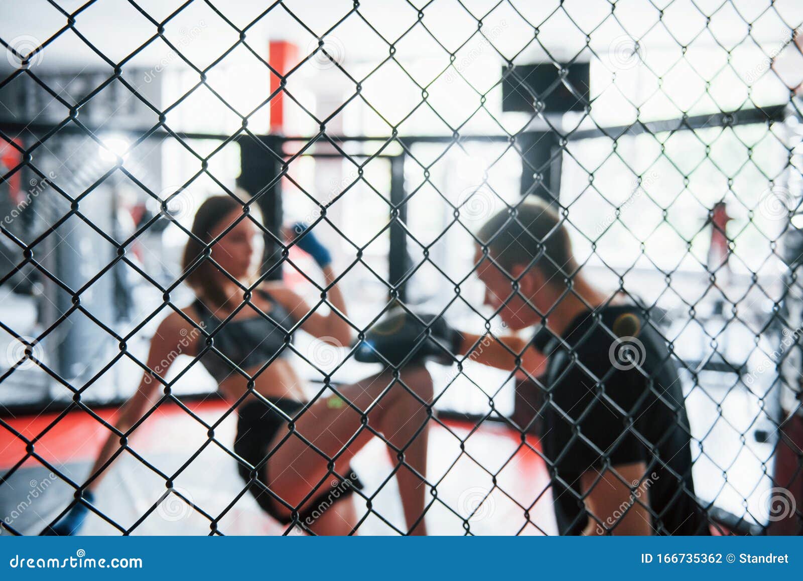 Athletic Young People Have Sparring on the Boxing Ring Stock Photo ...