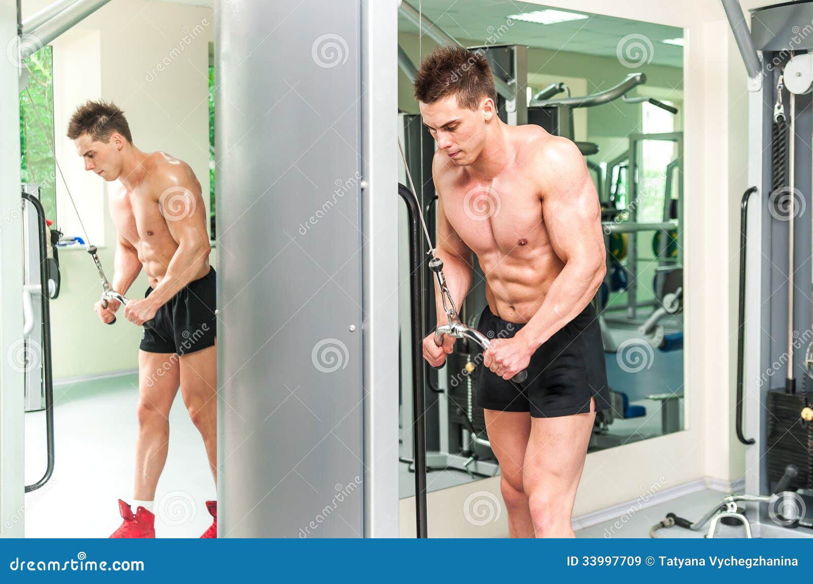 Athletically Built Sportsman in the Gym Stock Image - Image of female ...