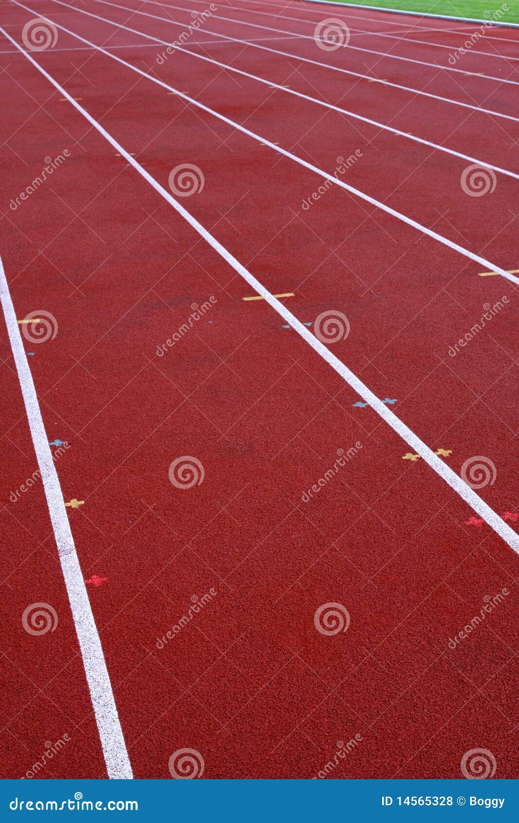 Athletics stock photo. Image of track, terrain, running - 14565328