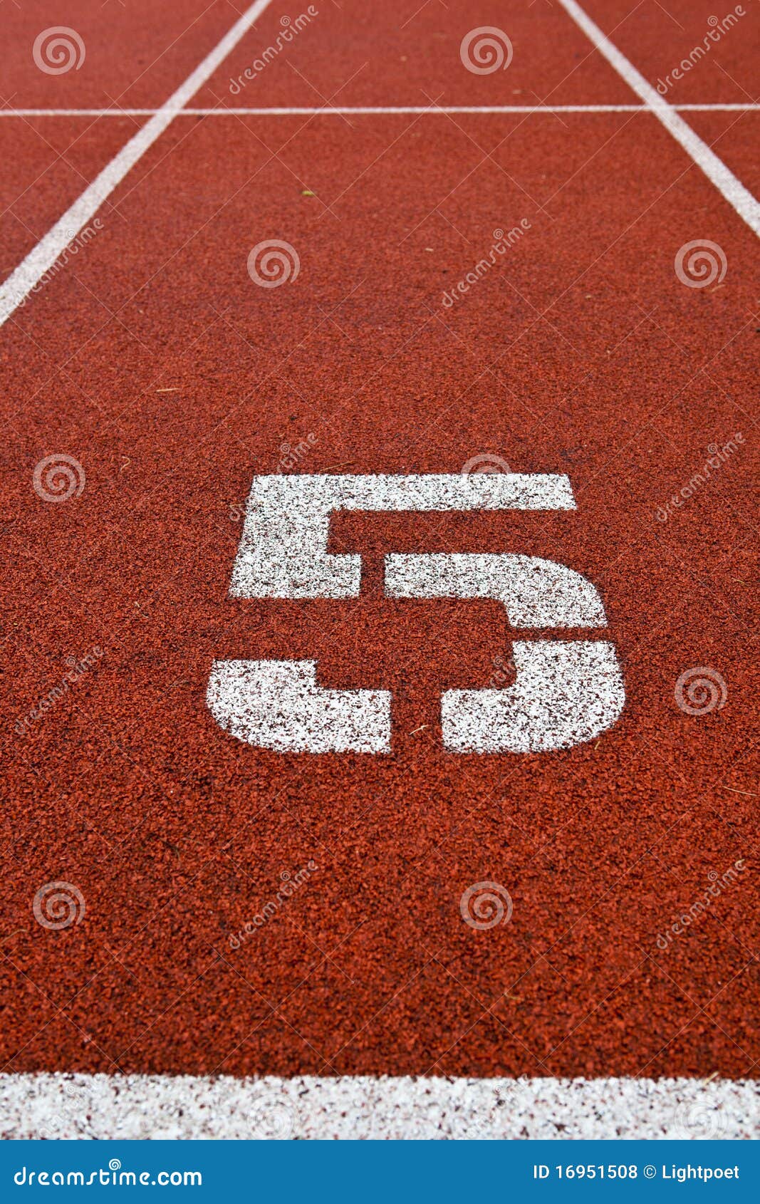 Athletics Track Lane Numbers Stock Photo - Image of empty, green: 16951508
