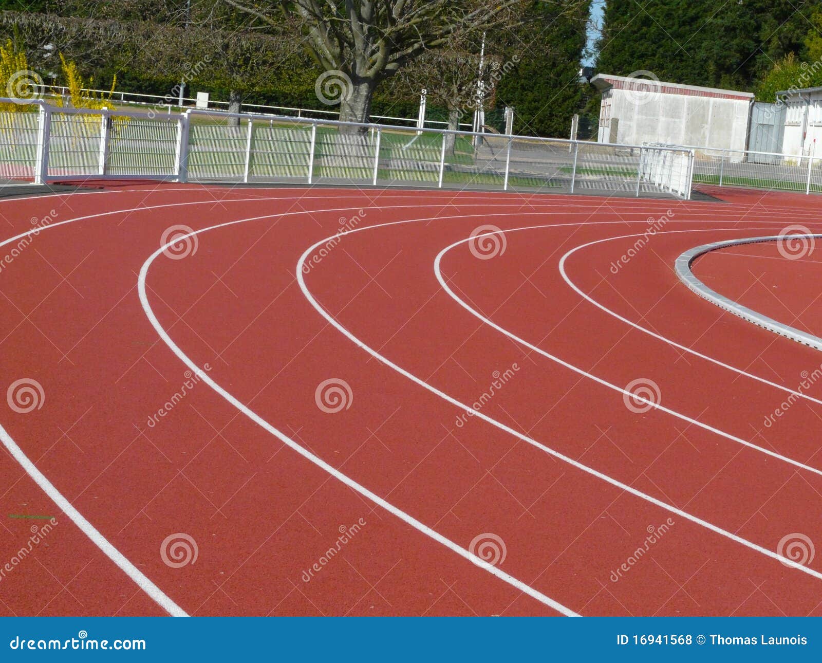 Athletism stock photo. Image of fast, athletism, sport - 16941568