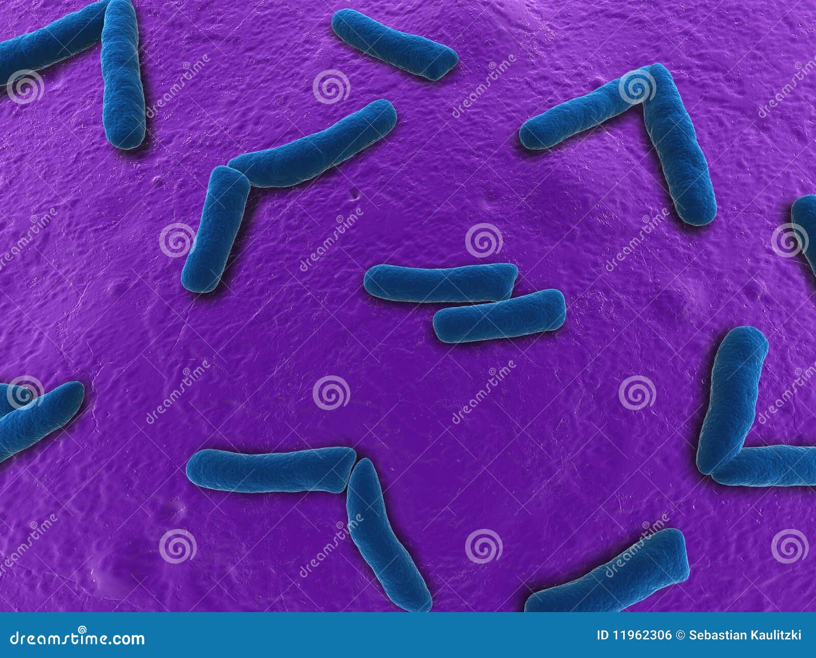 Arthrobacter Bacteria Stock Illustrations – 6 Arthrobacter Bacteria ...