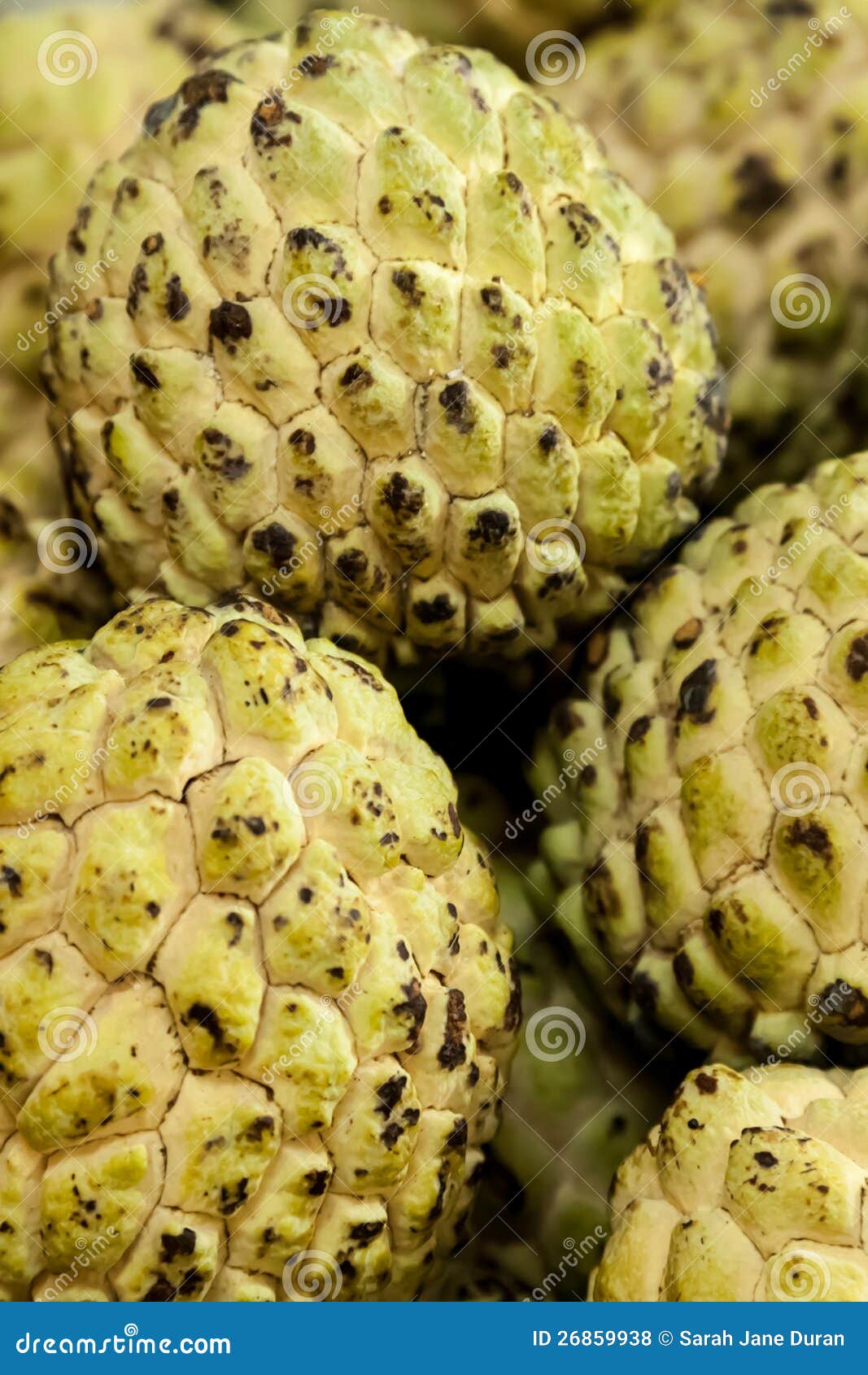 Atis or Sugar-apples at a Market Stock Photo - Image of delicious, atis ...