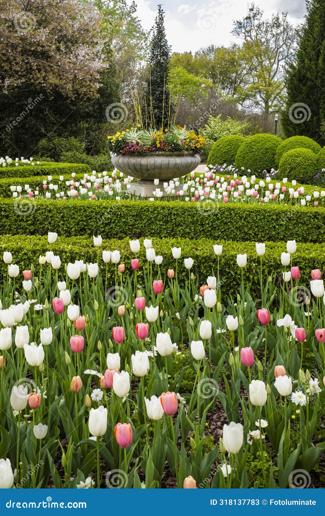 Atlanta Botanical Garden stock image. Image of bloom - 318137783