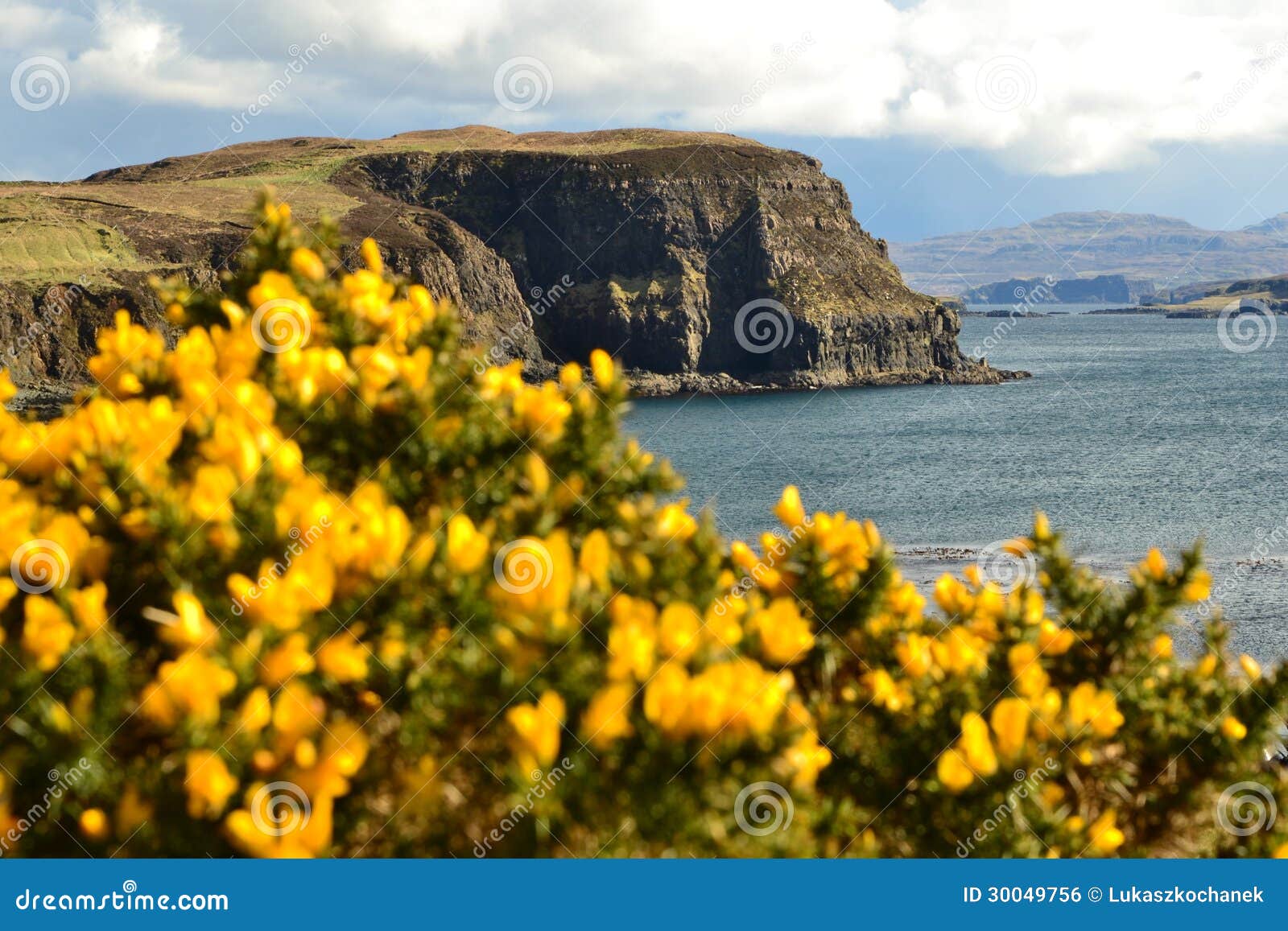 Cliffs and flowers stock photo. Image of amazing, beauty - 30049756