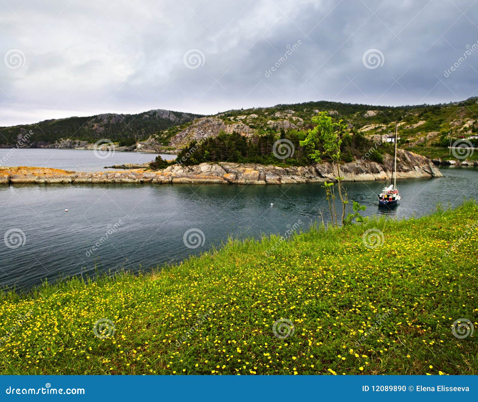 Atlantic Coast in Newfoundland Stock Photo - Image of overcast ...