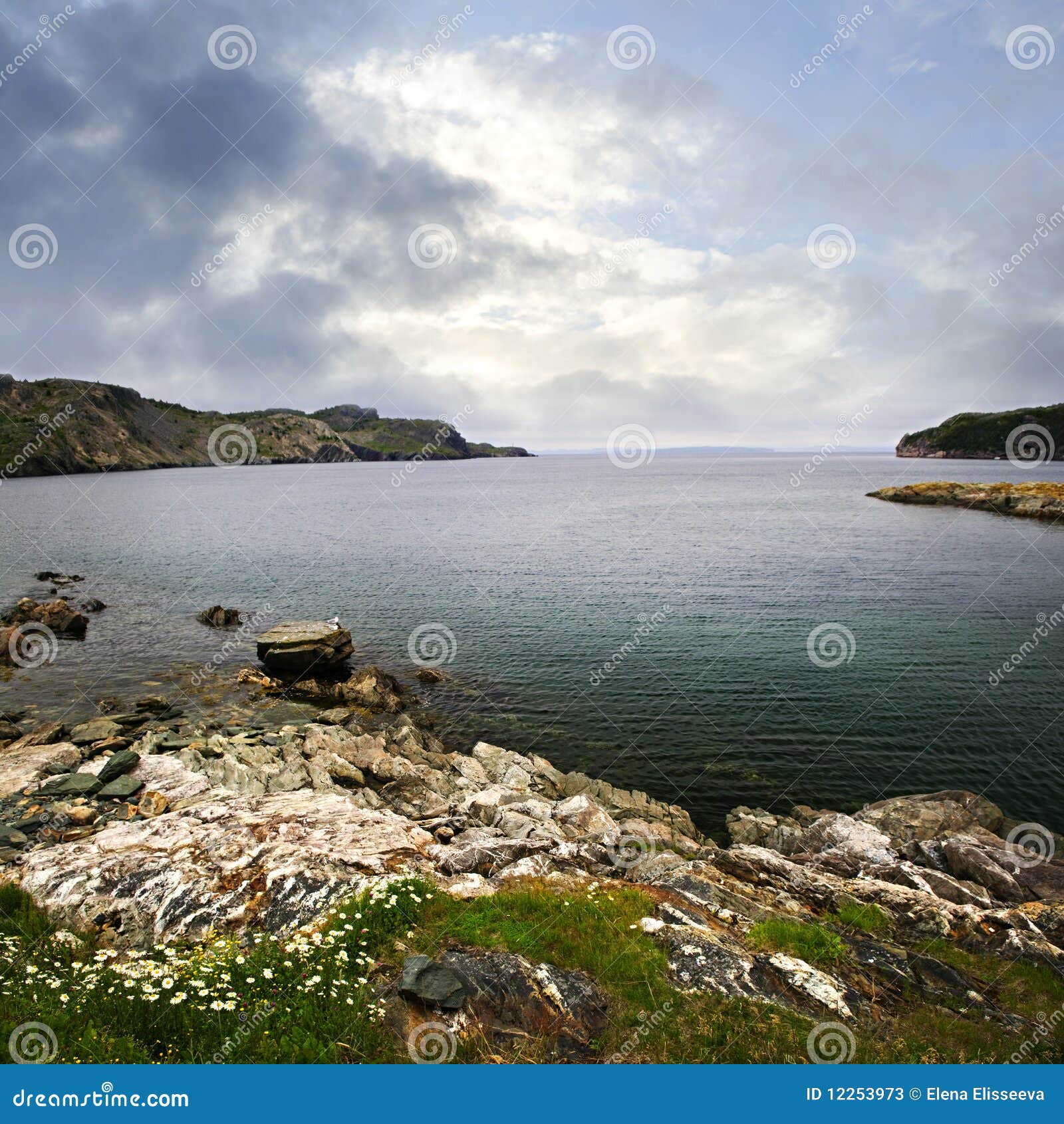 Atlantic Coast in Newfoundland Stock Image - Image of boulders, natural ...