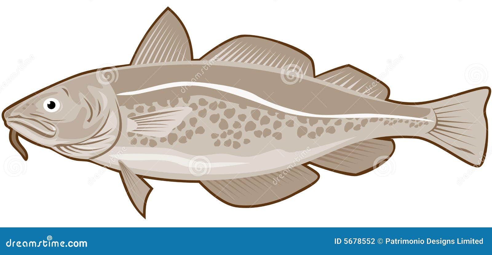 Codfish Haddock Line Art, Cod Seafood And Underwater Animal. Water ...