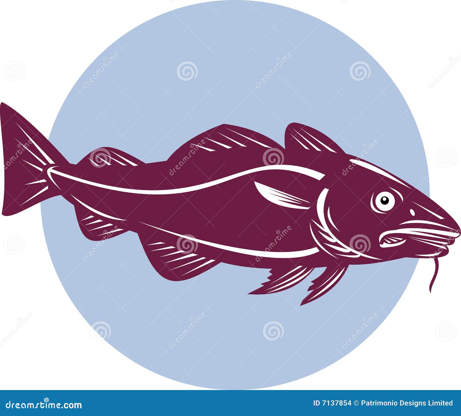 Codfish. Cod Atlantic, Vector Illustration With Details And Optimized ...