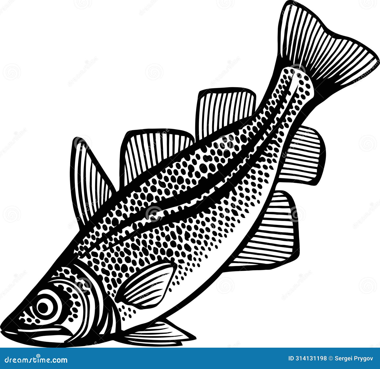 Atlantic Cod - American Fishes - Logo Fish Vector, Fish Stencil Stock ...