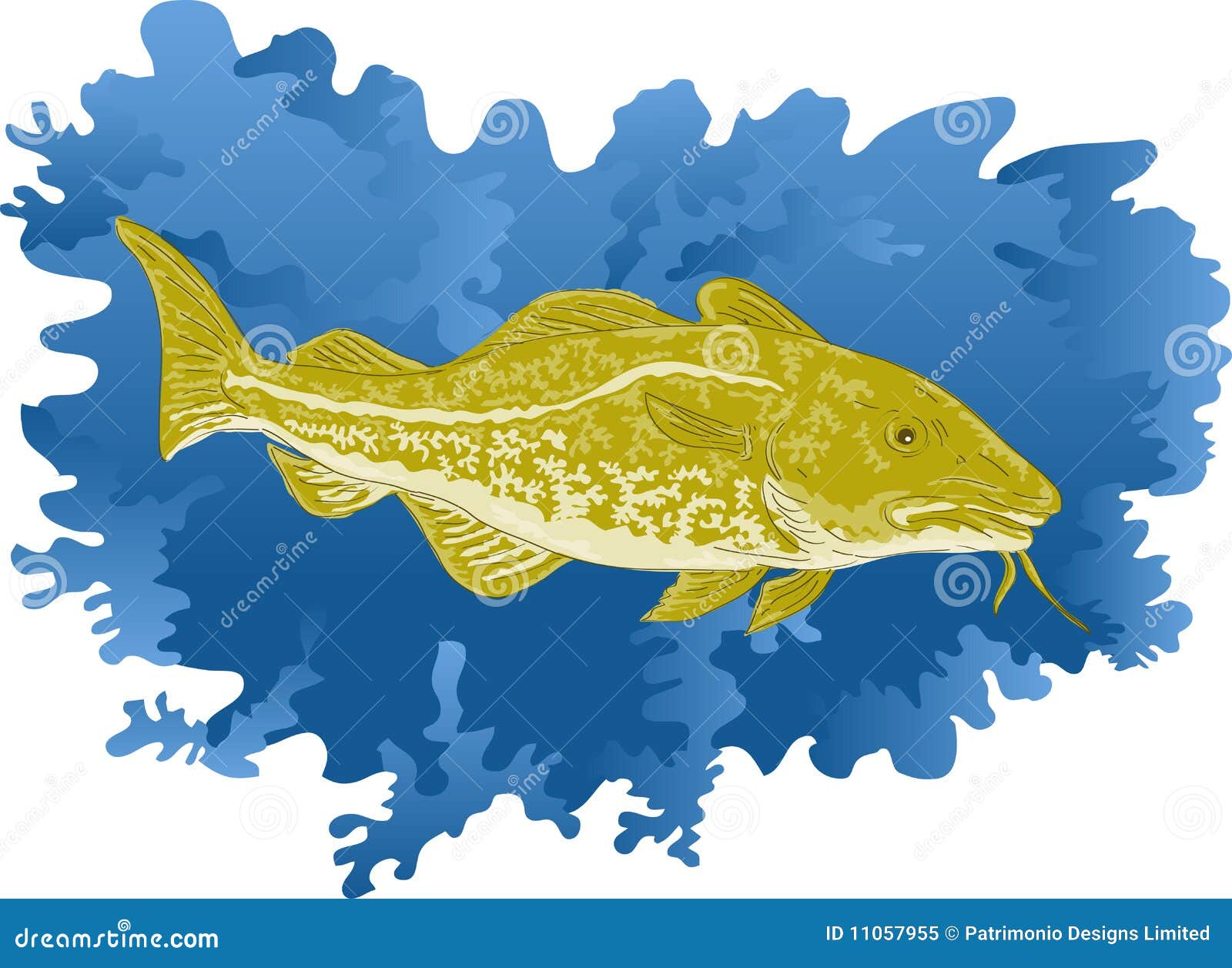 Atlantic Cod Fish Cartoon Vector | CartoonDealer.com #11057955