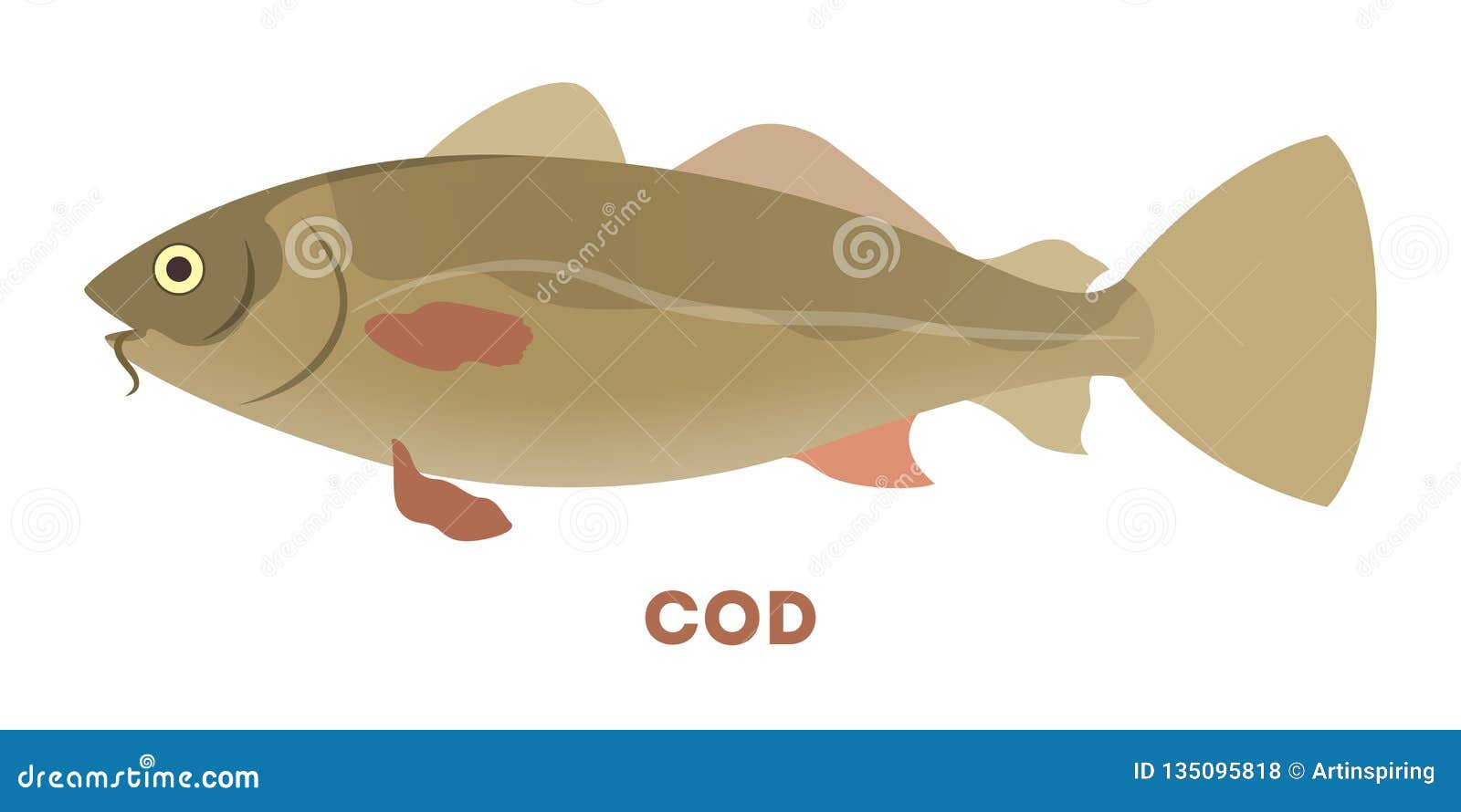 Atlantic Cod Fish Aquatic Animal. Marine Creature. Vector Illustration ...