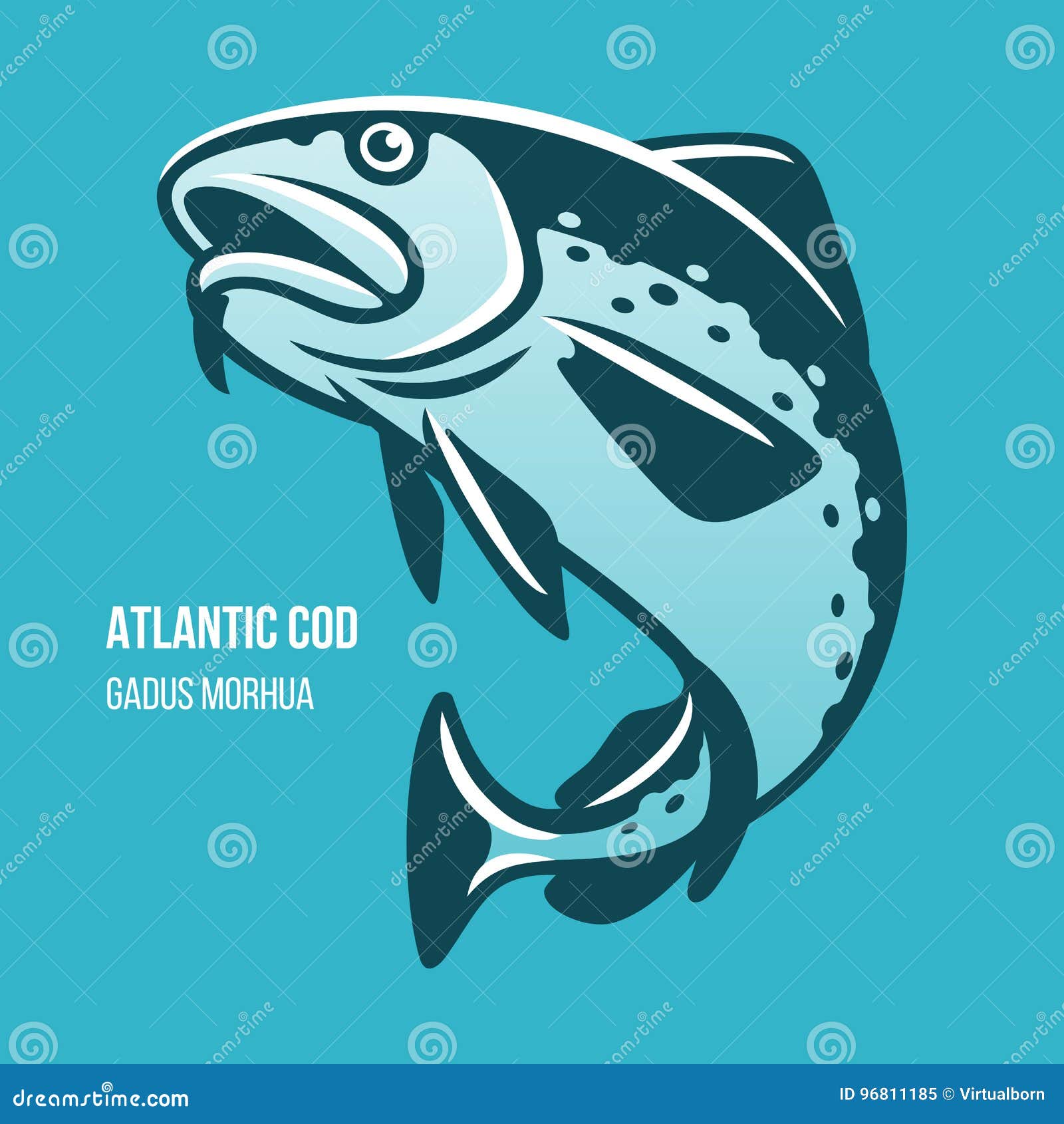 Atlantic Cod Fish Vector Illustration Stock Illustration - Illustration ...