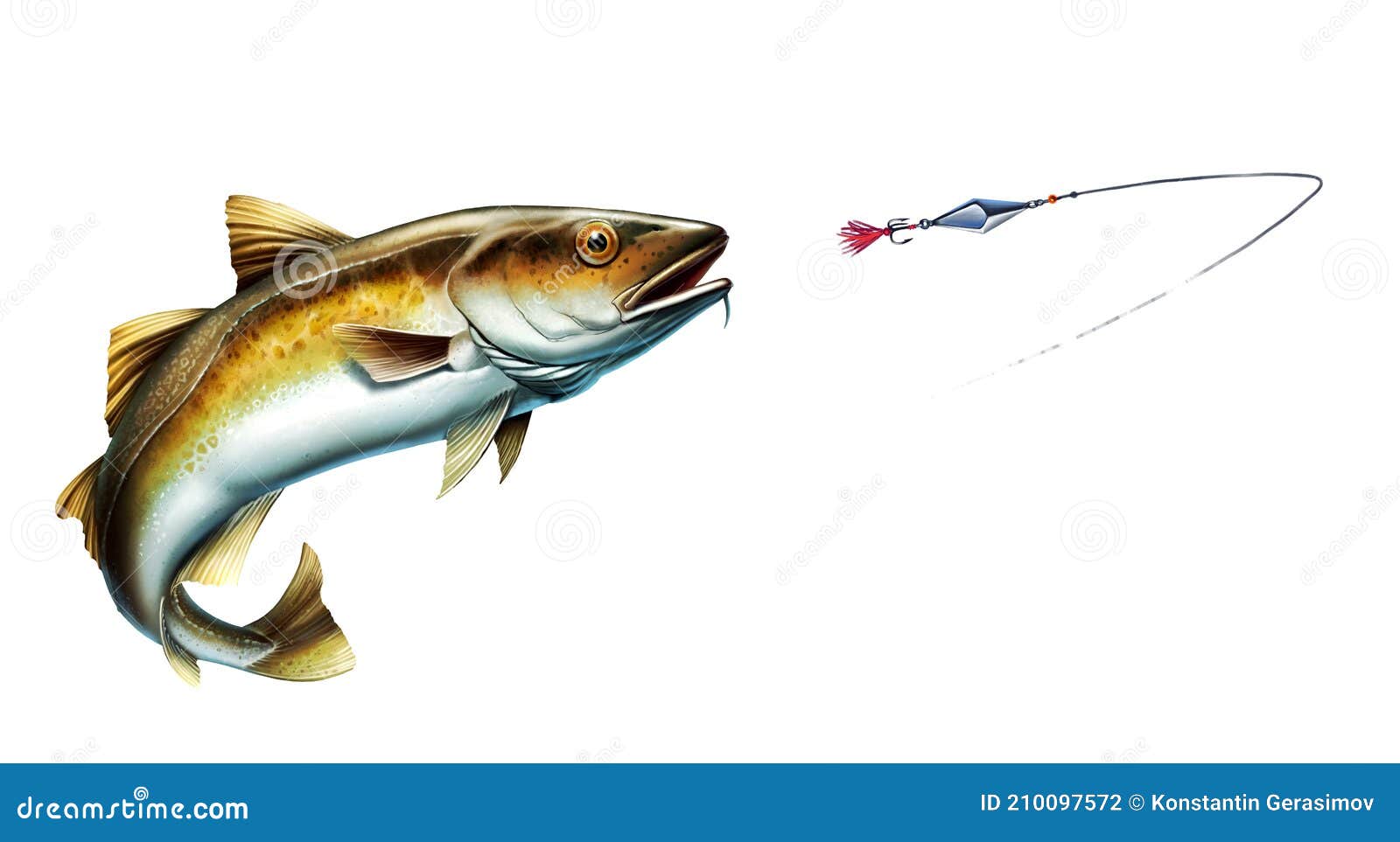 Alaska Pollock, Mintai Fish Jumping Out Of Water Illustration Isolate ...