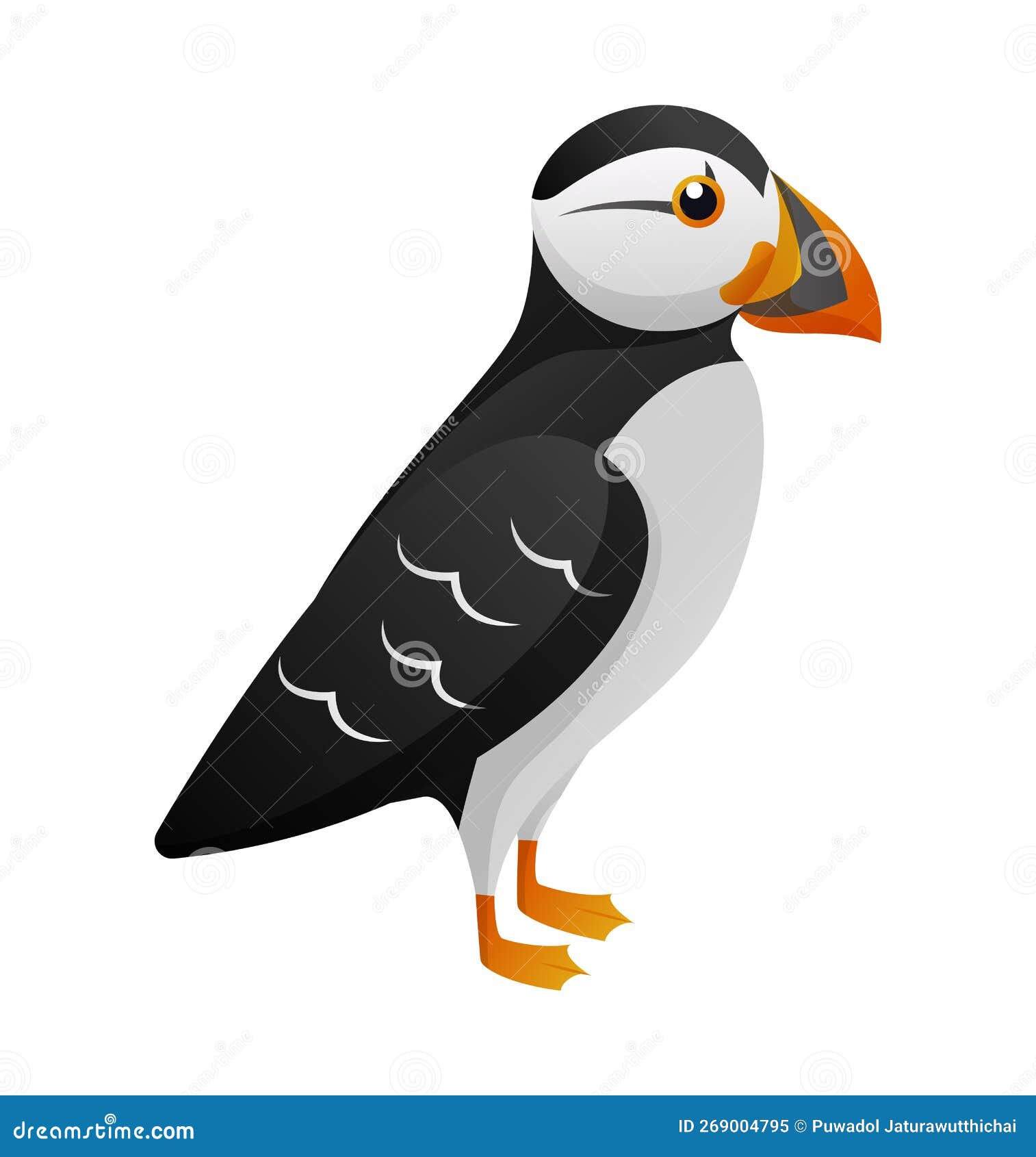 Atlantic Puffin Cartoon Character . Vector | CartoonDealer.com #269004795